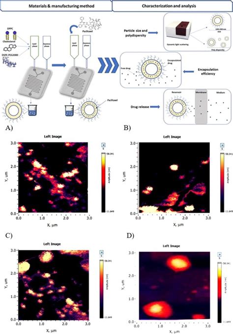 Vesiculab On Linkedin Nanoparticles Encapsulation Nanomedicine