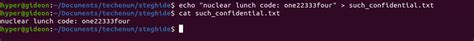 Steganography Hide Text Within An Image File Using Steghide Techenum