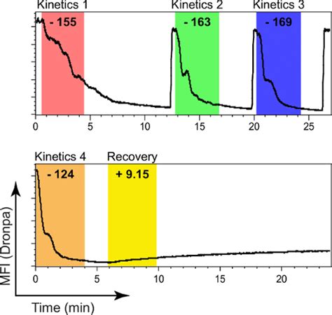 Kinetic Analysis Of Dronpa Photoswitching The Kinetics Of Dronpa