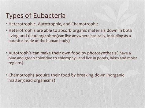 PPT Eubacteria PowerPoint Presentation Free Download ID