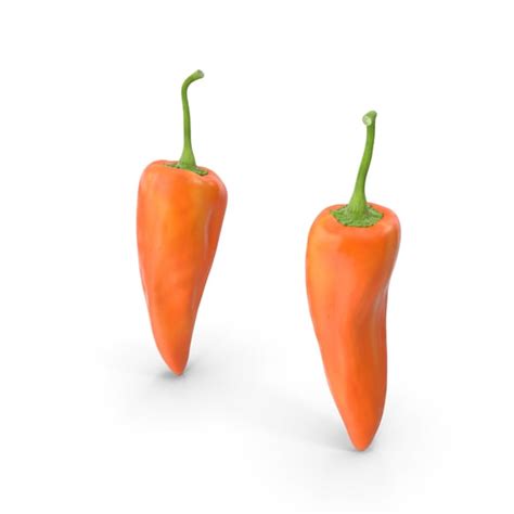 Orange Hot Pepper 3d Incl Condiment And Food Envato