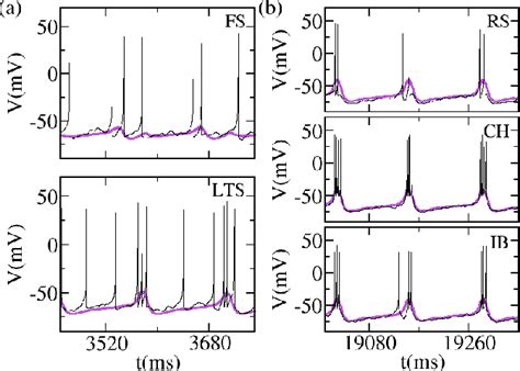 Figure 2 From The Role Of Inhibitory Neuronal Variability In Modulating Phase Diversity Between