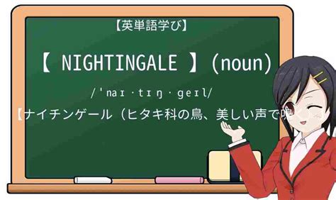 【英単語】nightingaleを徹底解説！意味、使い方、例文、読み方