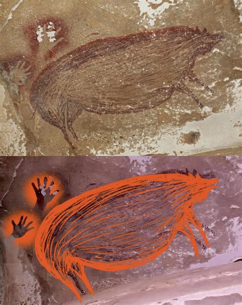 The Worlds Oldest Known Animal Cave Painting A Panel Of Wild Pigs