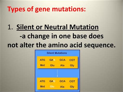 Types Of Neutral Mutation At Tiffany Mora Blog