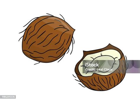 벡터 컬러 코코넛 아이콘입니다 절연 단색 너트 세트 흰색 배경에 고립 된 만화 또는 낙서 스타일의 음식 선 그리기 그림입니다 귀여운에 대한 스톡 벡터 아트 및 기타 이미지