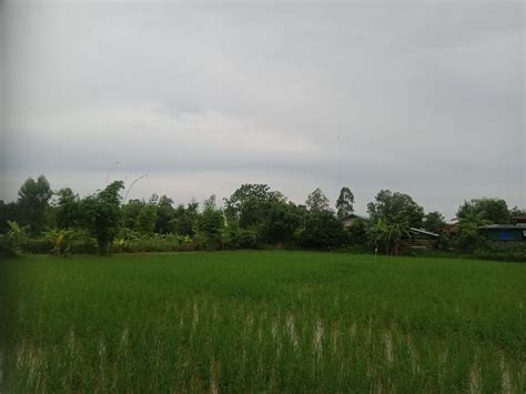 ศิษย์เก่าโรงเรียนโพนทอง ศิษย์เก่าโรงเรียนโพนทองพัฒนาวิทยา