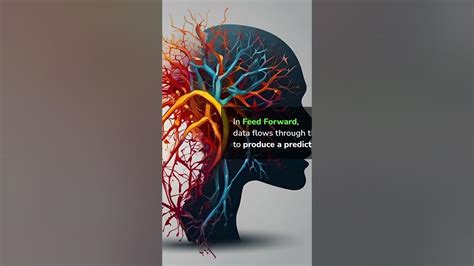 Deep Learning And Neural Networks Deeplearning Ai Machinelearning