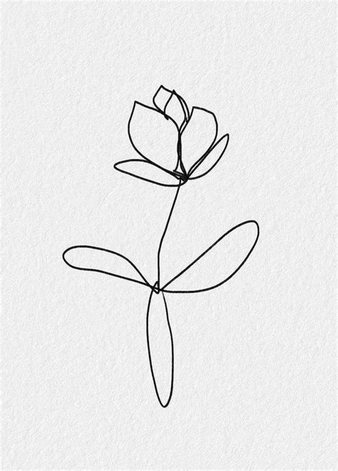 Minimalist Aesthetic Flower Drawing Drawing Tips Guide