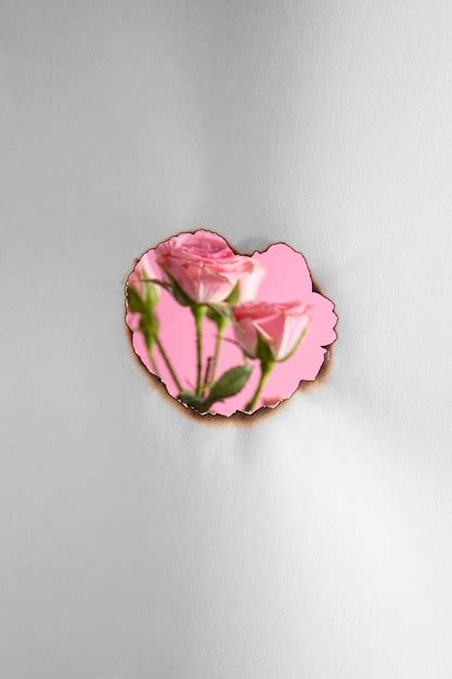 장미 꽃이 있는 탄 종이의 정물화 무료 사진