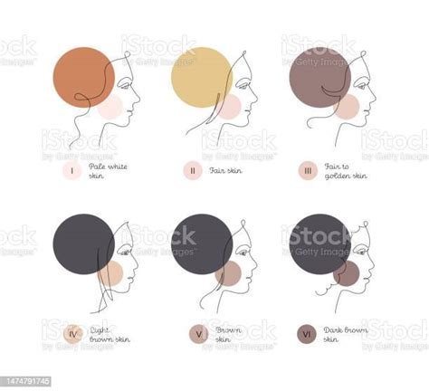 피부색과 민족 유형 인포 그래픽 벡터 한 줄 현대 그림 세트입니다 피츠패트릭 스케일 차트 흰색 배경에 격리된 색 기호를 가진 다른 민족의 여성 얼굴 아바타 다양에 대한 스톡