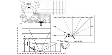 Mesh Of The Ct Specimen Including Singular Finite Elements At The
