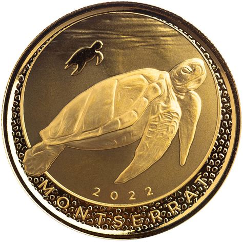 Gold Ounce 2022 Sea Turtle Coin From Montserrat Online Coin Club