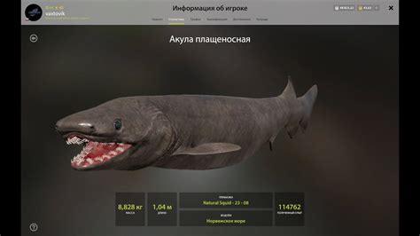 РР4 Пенный Стрим ) - YouTube