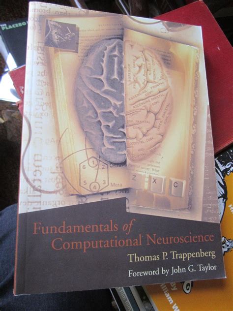 Fundamentals Of Computational Neuroscience 9780198515838 Medicine