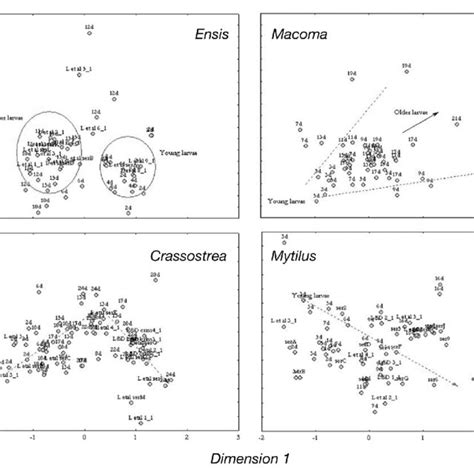 Terminology Used To Describe Dimensions And Shapes Of Bivalve Larvae