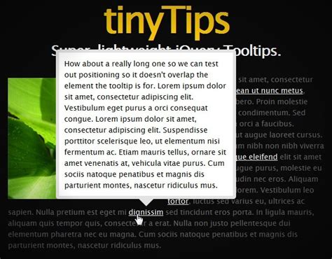 JQuery Tooltip 100 Fresh Resources Bypeople