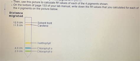 Solved Then Use This Picture To Calculate Rf Values Of Each Of The