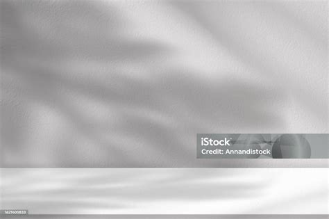 스튜디오 배경 회색 콘크리트 벽 배경에 햇빛 반사로 그림자를 남기고 시멘트 바닥에 추상적인 조명이 있는 빈 흰색 스튜디오 룸 제품 프레젠테이션을 위한 배경 디스플레이 회색