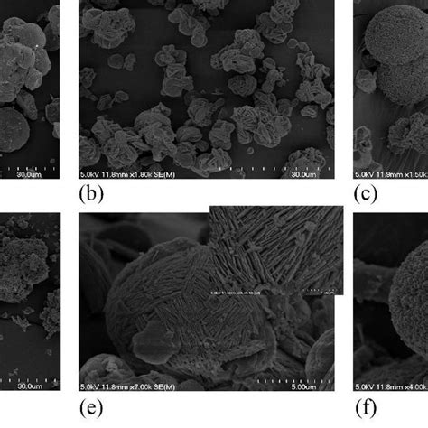 Variation In Bacterial Growth Do Ph And Caco3 Concentration Over The