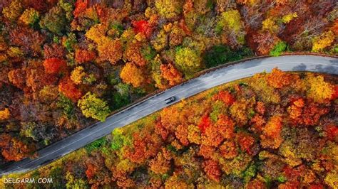 77 عکس زیبا و رویایی پاییز برای بک گراند و پروفایل