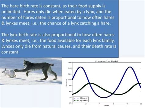 PPT Computational Thinking PowerPoint Presentation Free Download ID