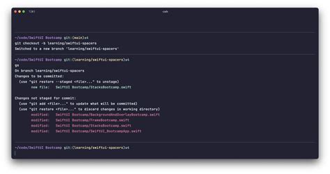 [iterm2] custom zsh theme r unixporn