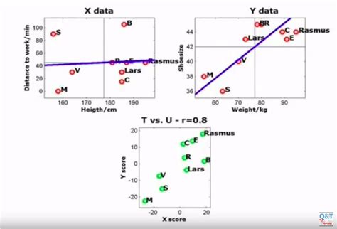 Partial Least Squares Discriminant Analysis