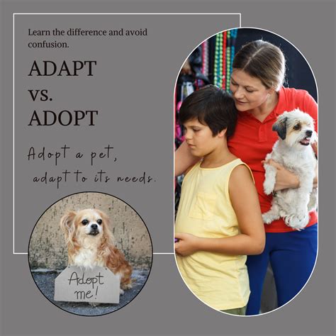 Adapt Vs Adopt