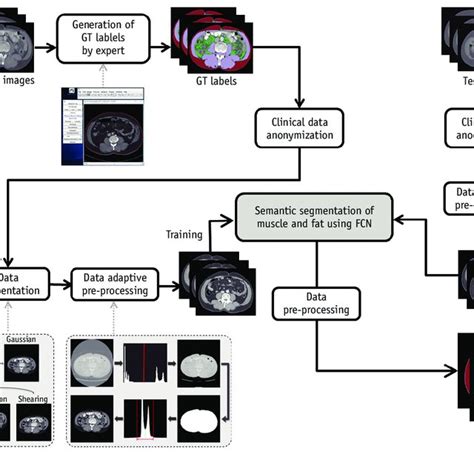 Overview Of Fcn Based Segmentation System Adf Anisotropic Diffusion Download Scientific