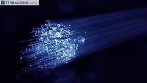 Cari Tahu Penerapan Pattern Recognition Dalam Dunia Kecerdasan Buatan Di Sini