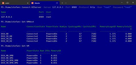 Installation And Testing Vmware Vcenter And Esxi Api Simulator With