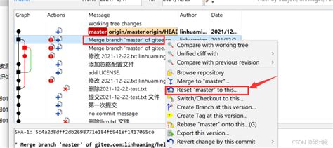 TortoiseGit 使用教程图文详细版 tortoisegit教程 CSDN博客