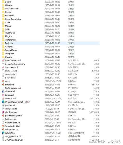 Windows系统下oracle Plsqldeveloper12的安装与配置plsql Developer 12 Csdn博客