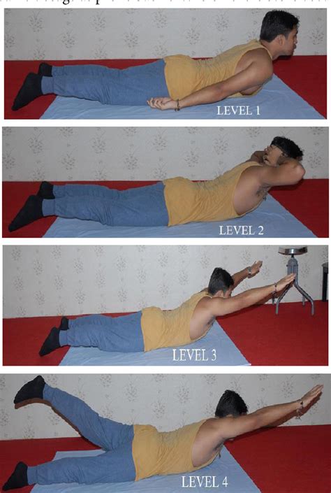 Back Extensor Muscles Atelier Yuwa Ciao Jp