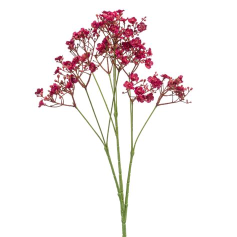 Gipsófila Fúcsia Casa Medeiros Interiores