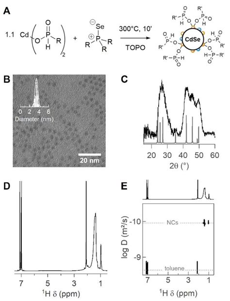 Cdse Quantum Dots Synthesized With N Octadecylphosphinic Acid A