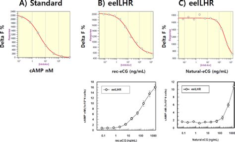 Signal Transduction Of Eel Luteinizing Hormone Receptor Eellhr And Follicle Stimulating