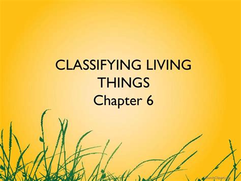 Classifying Living Things Ppt Download