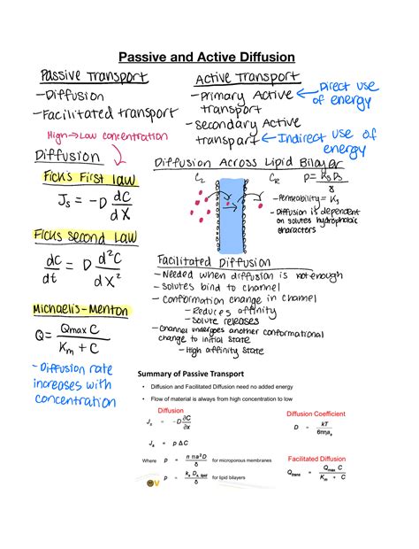 Lecture 4 Passive And Active Diffusion Passive Transport Active