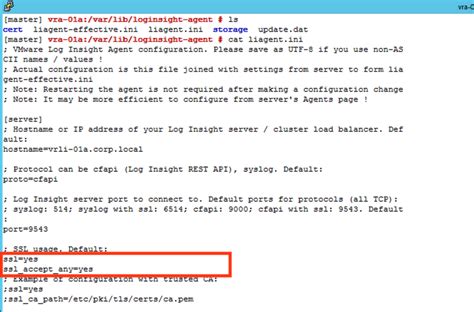 log insight replacing ssl certificates vnuggets