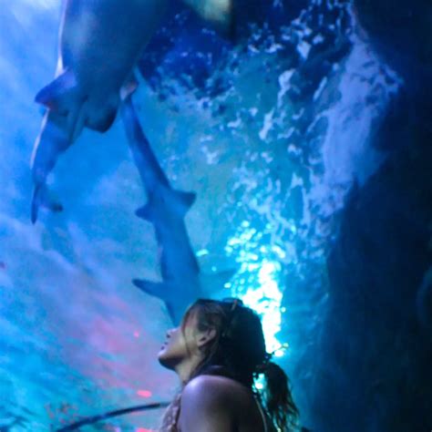 Nina Phoenixs Postlemon8