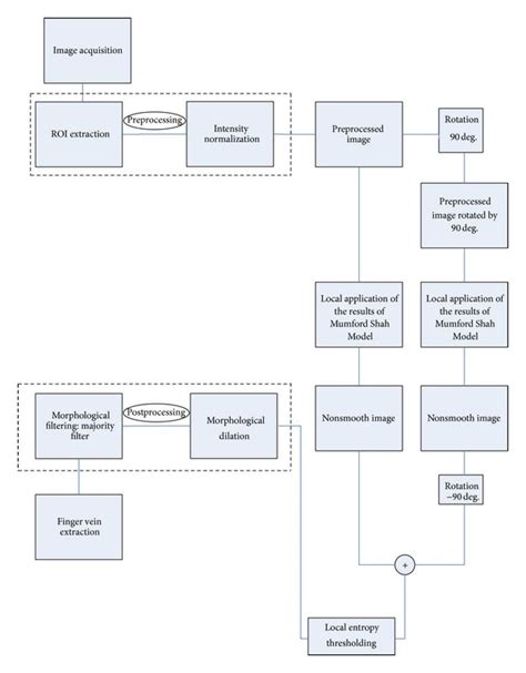 Flowchart Of The Proposed Vein Detection Method Download Scientific Diagram