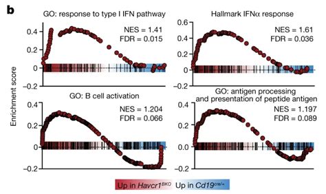 复现nature图表：gsea分析及可视化包装函数gsea结果可视化 Csdn博客