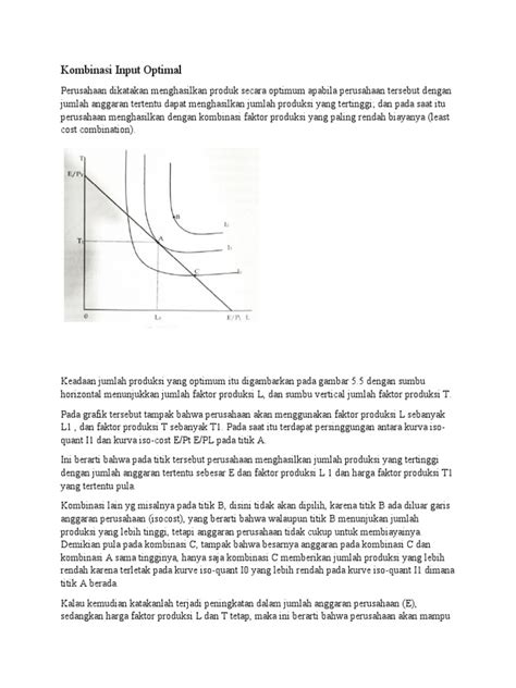 Penjelasan Kombinasi Input Optimal Pdf