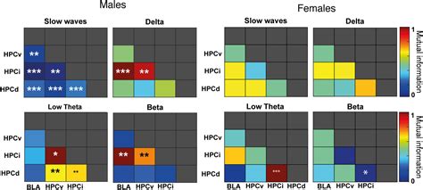 Frontiers Sex Differences In Amygdalohippocampal Oscillations And Neuronal Activation In A