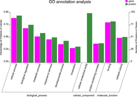 Go Annotation Analysis Of Degs And Deps Proteins And Genes Were