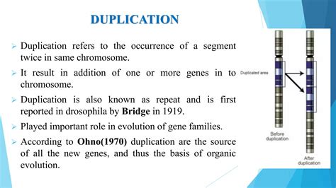 Chromosomal Aberrations Utilization Of Aneuploids Chimeras And Role