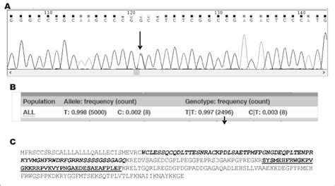 A Electropherogram Showing The Site Of Mutation Arrow As Indicated Download Scientific